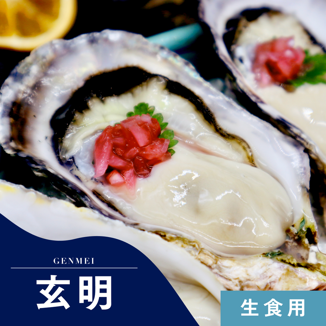 海男オイスター（UMIOTOKO OYSTER）の生牡蠣通販サイト。佐賀県太良町から有明海で作り上げた牡蠣を直送でお届けします！